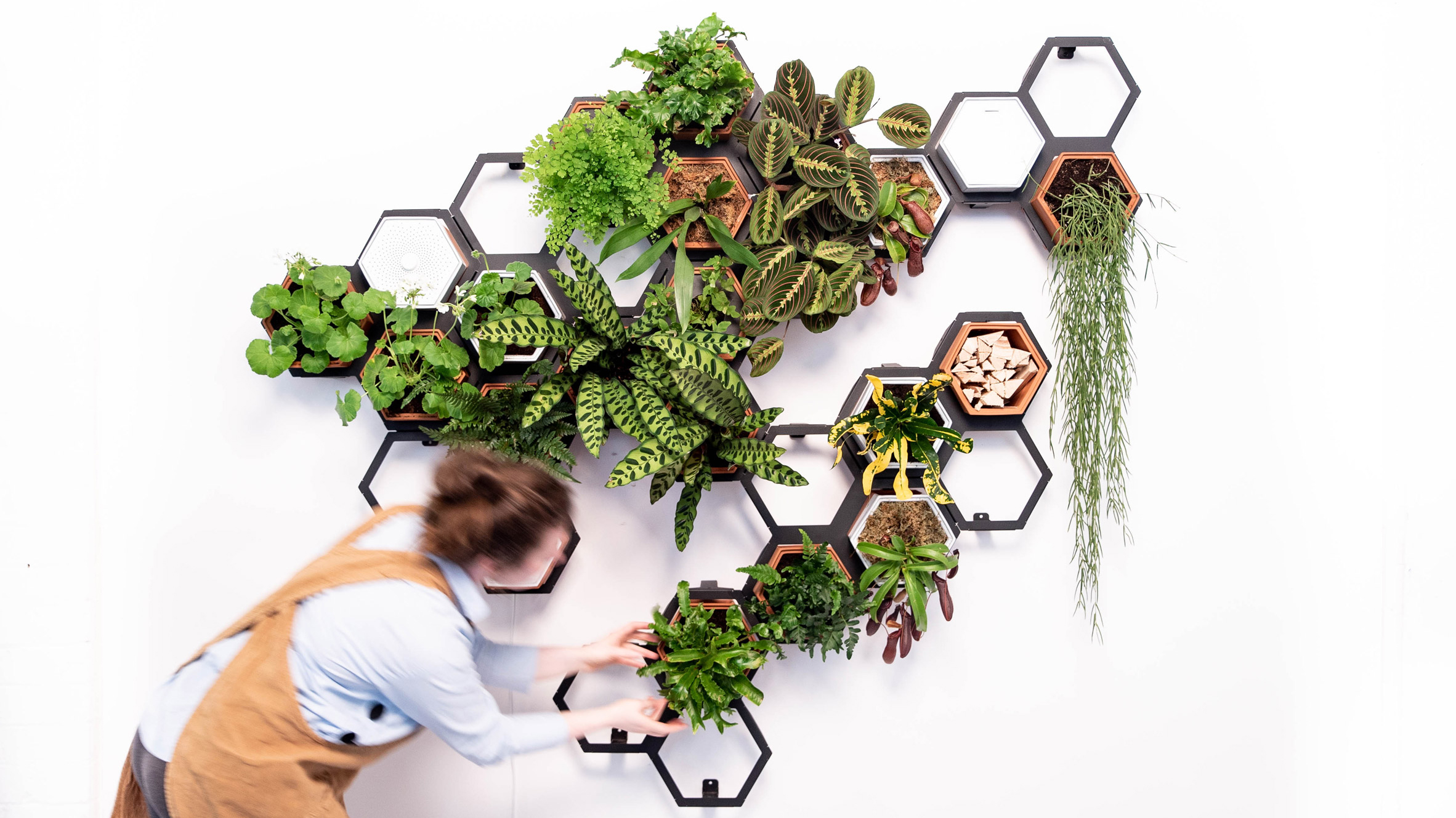 Un système modulaire flexible pour les amoureux des plantes – ArchiBat Mag