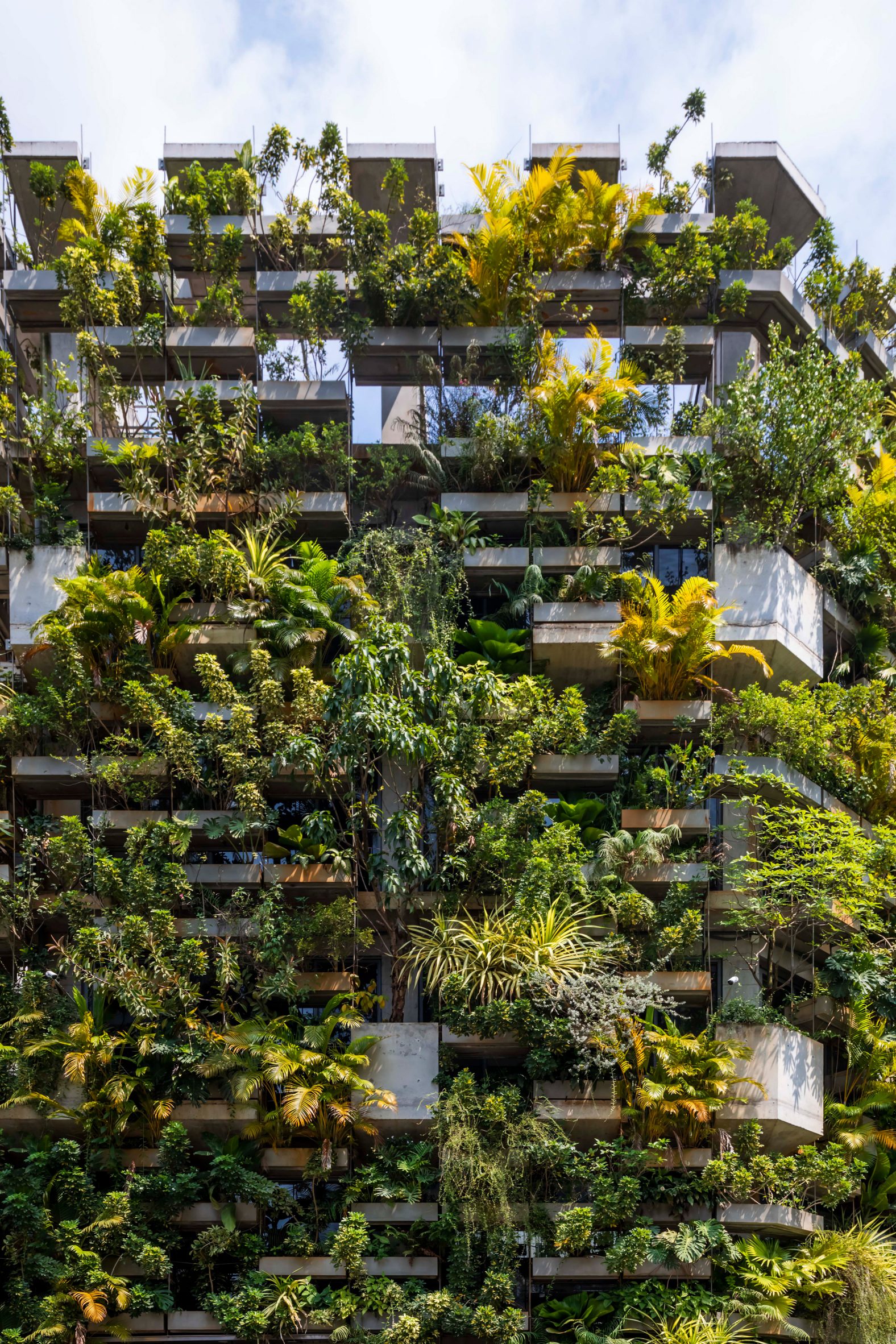 Une agence d’architecture végétalisée en milieu urbain – ArchiBat Mag