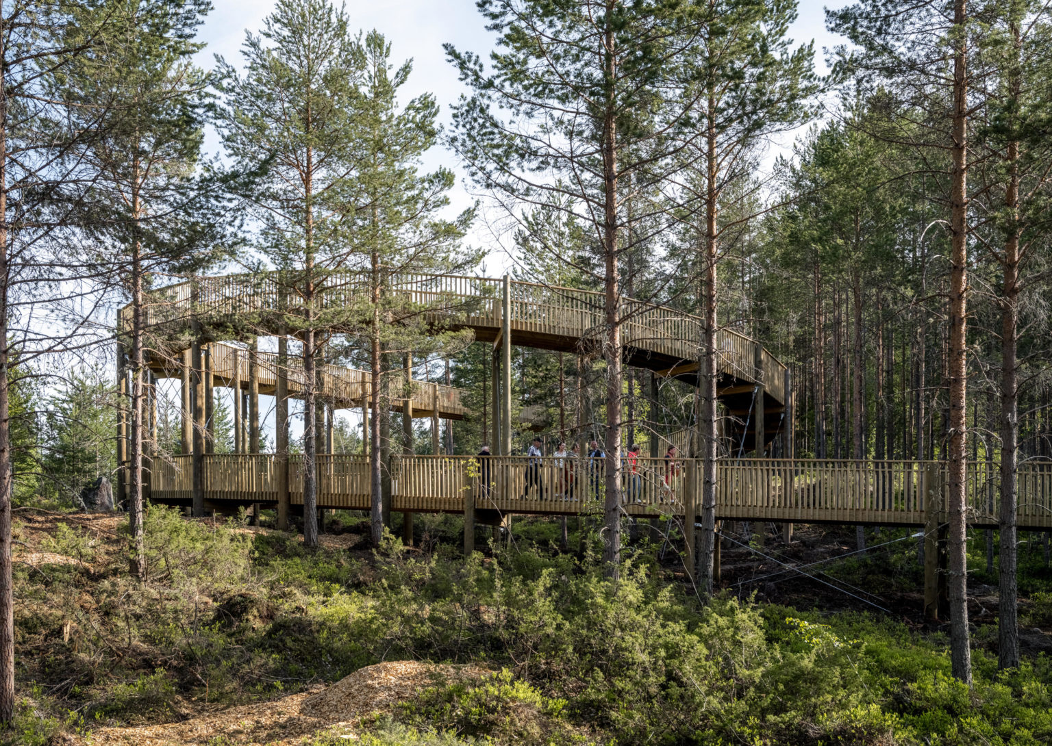 Promenade à la cime des arbres au Danemark – ArchiBat Mag