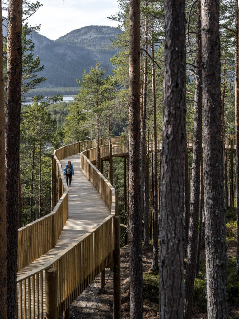 Promenade à la cime des arbres au Danemark – ArchiBat Mag